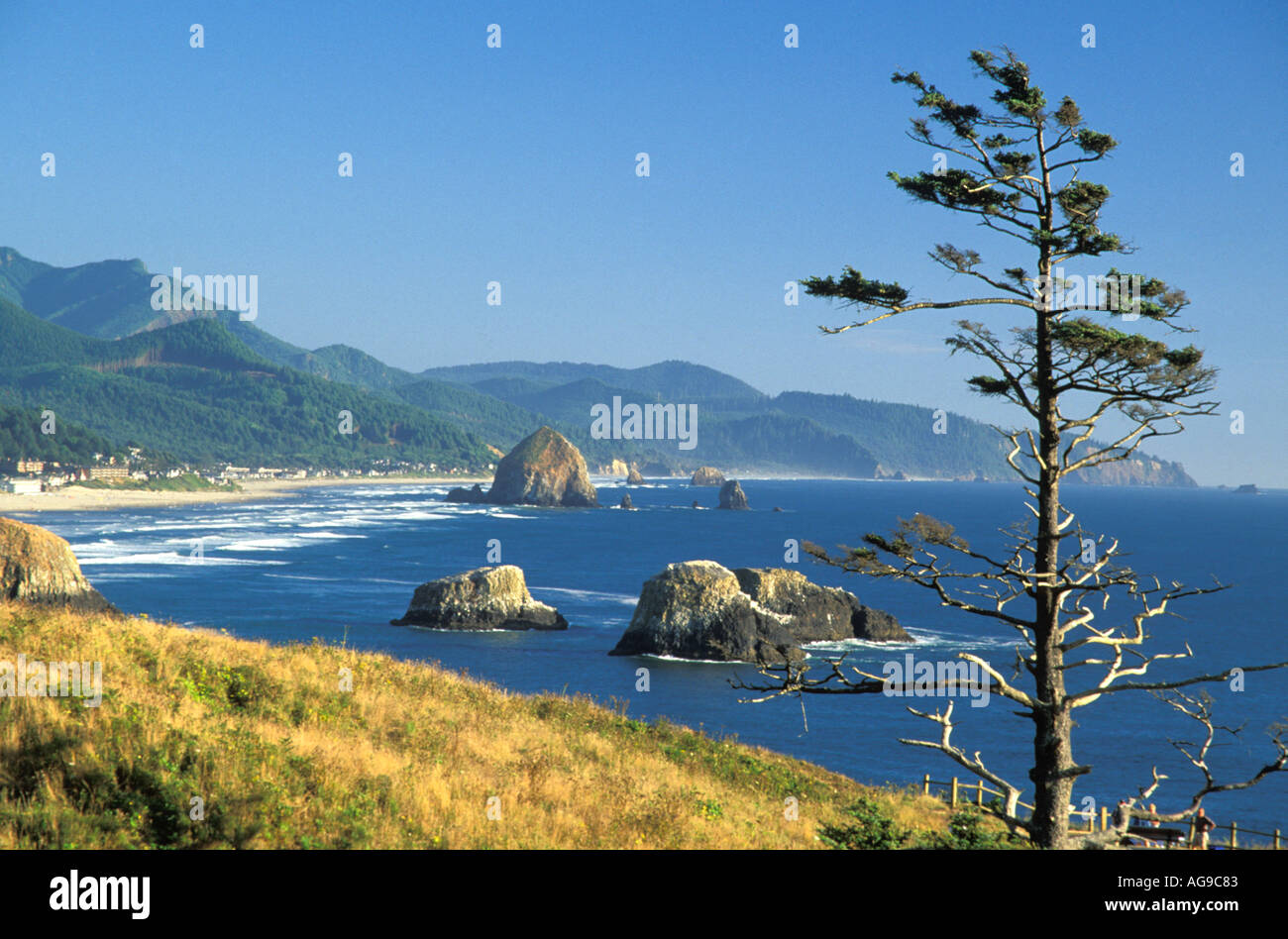 Cannon Beach from Ecola State Park Oregon Stock Photo - Alamy