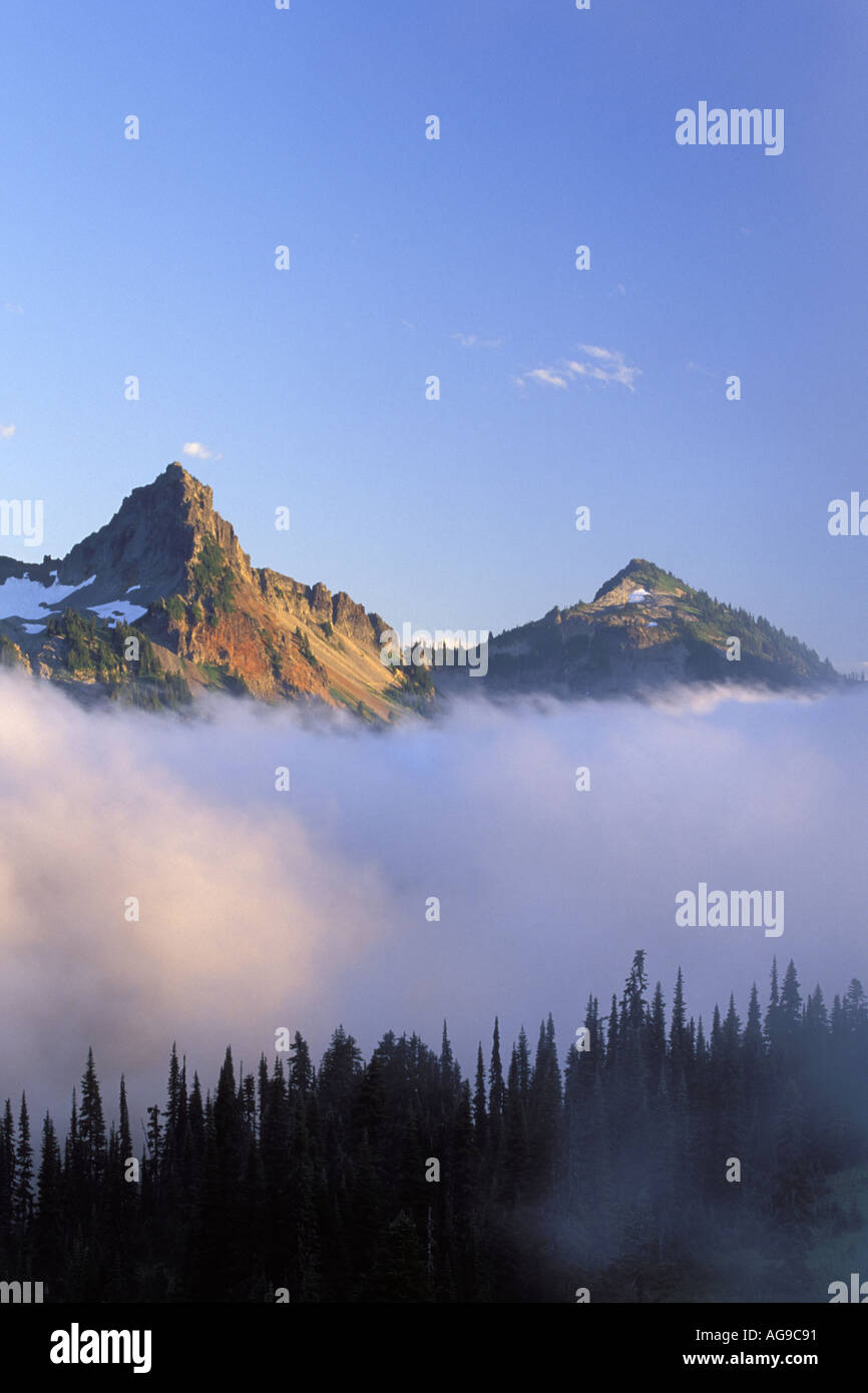 Pinnacle Peak and Plummer above trees silhouetted against fog Paradise ...