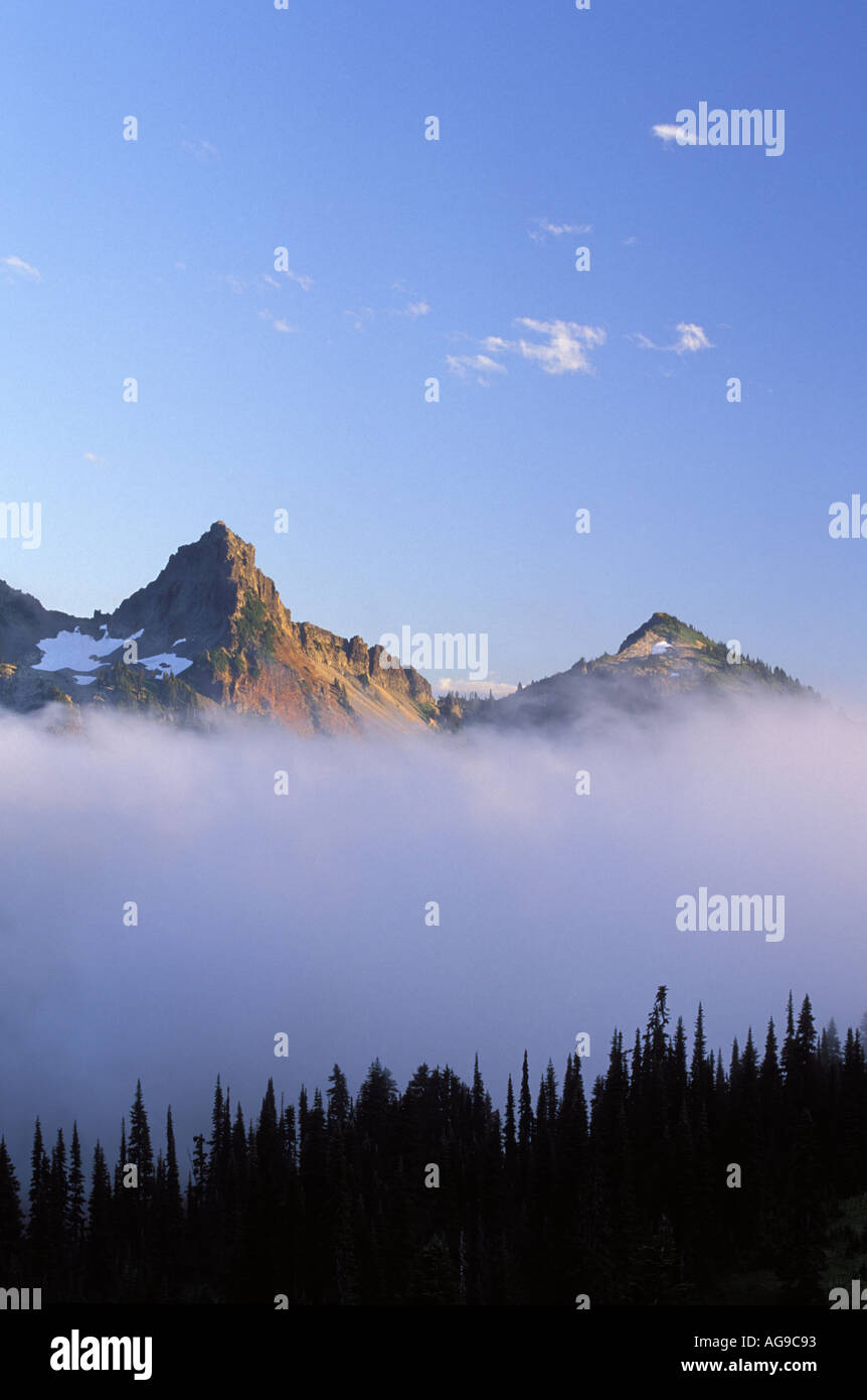 Pinnacle Peak and Plummer above trees silhouetted against fog Paradise ...
