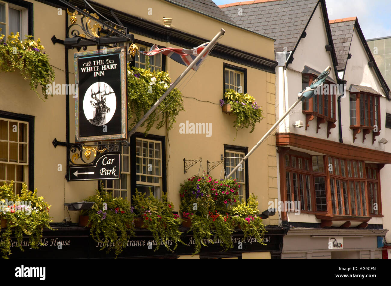 The White Hart Inn Exeter Devon UK Stock Photo - Alamy