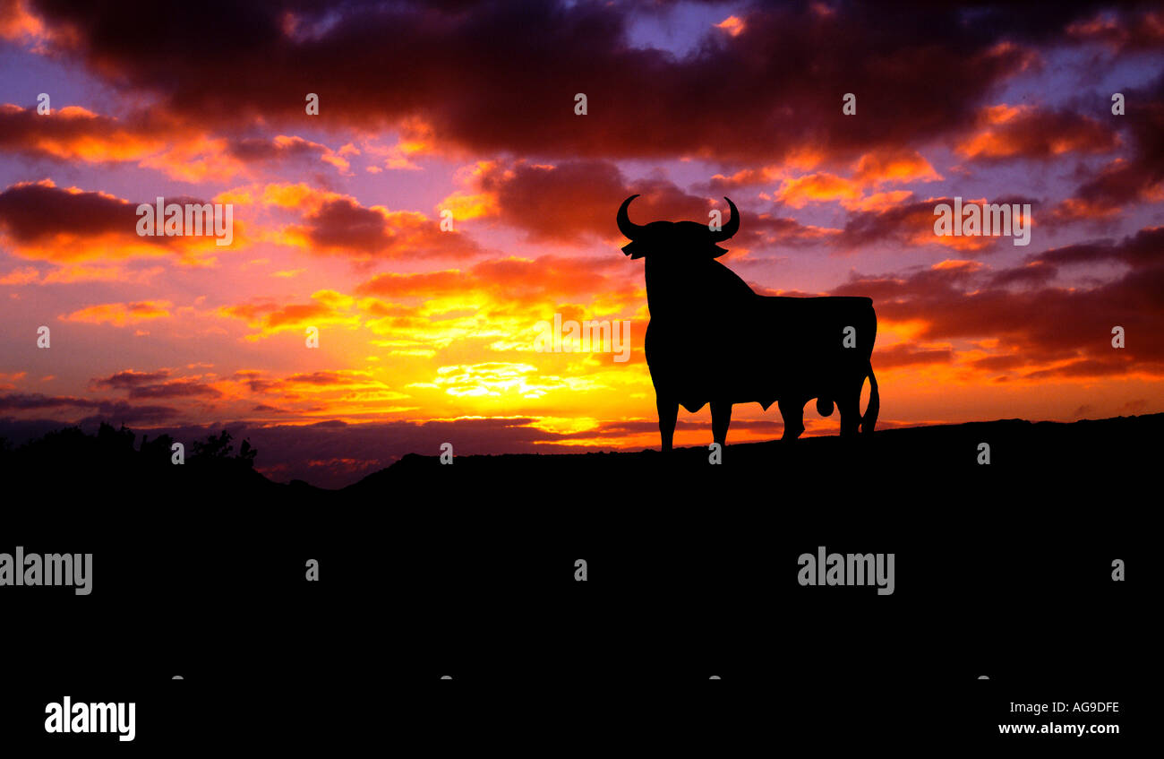 Bull and sun hi-res stock photography and images - Alamy