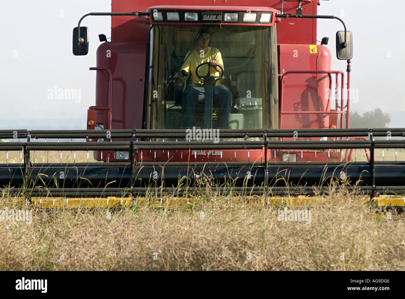 Crop cutting machine hi-res stock photography and images - Alamy