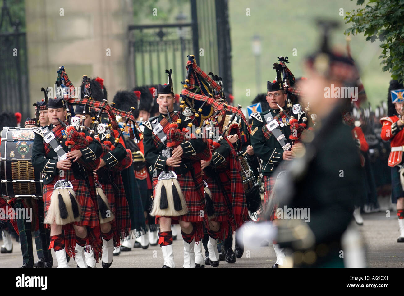 Scotland Drums And Pipes at Rebecca Hart blog
