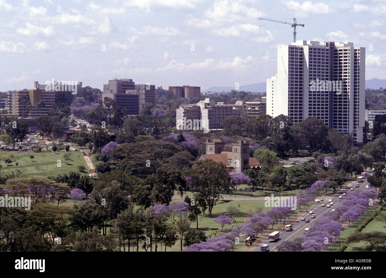 Jacaranda trees in full bloom in Nairobi capital city of Kenya Stock ...