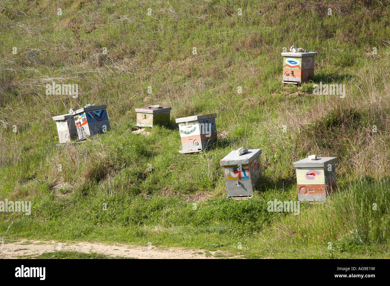 Bee hives on a hill in Crete Stock Photo - Alamy