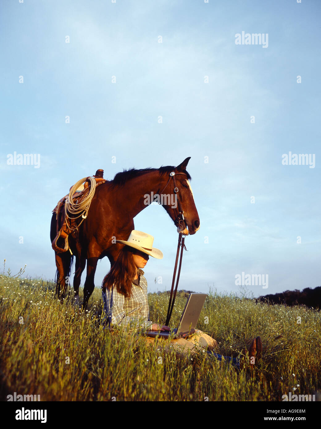 Computer cowboy hi-res stock photography and images - Alamy