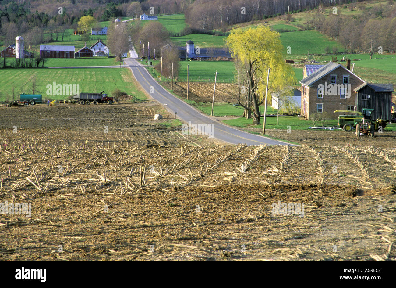 Cut corn field and country road Tinmouth Vermont Stock Photo - Alamy