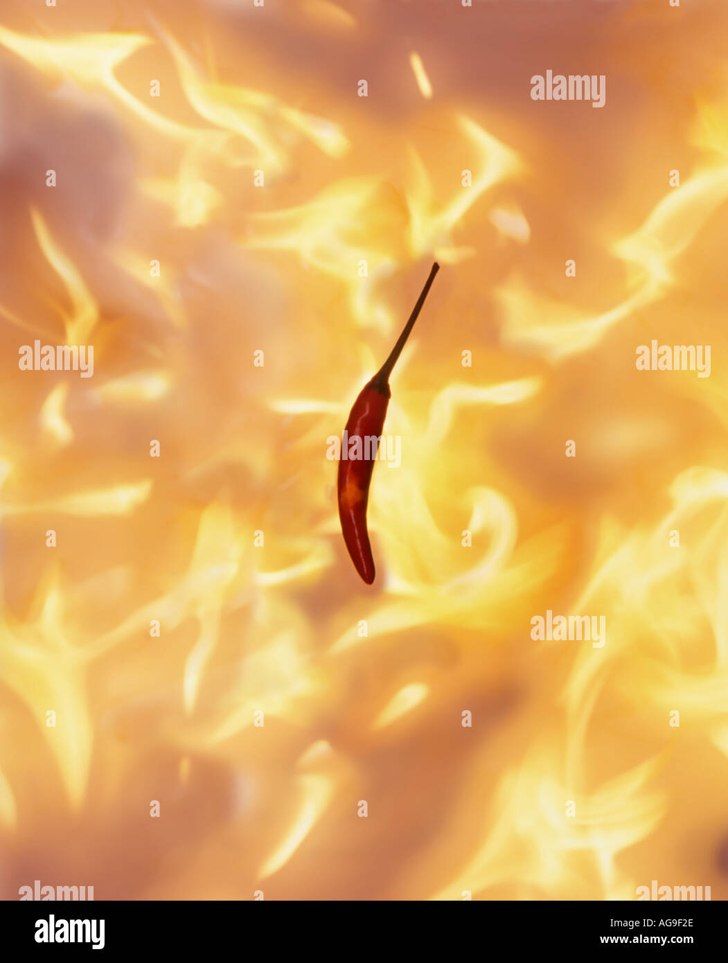 colour image off a single red chilli with a background on fire Stock ...