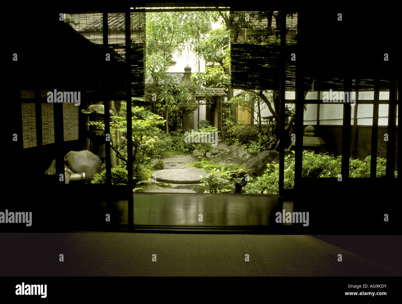 garden Tsuboniwa bamboo in Machiya house Kyoto Japan Stock Photo - Alamy