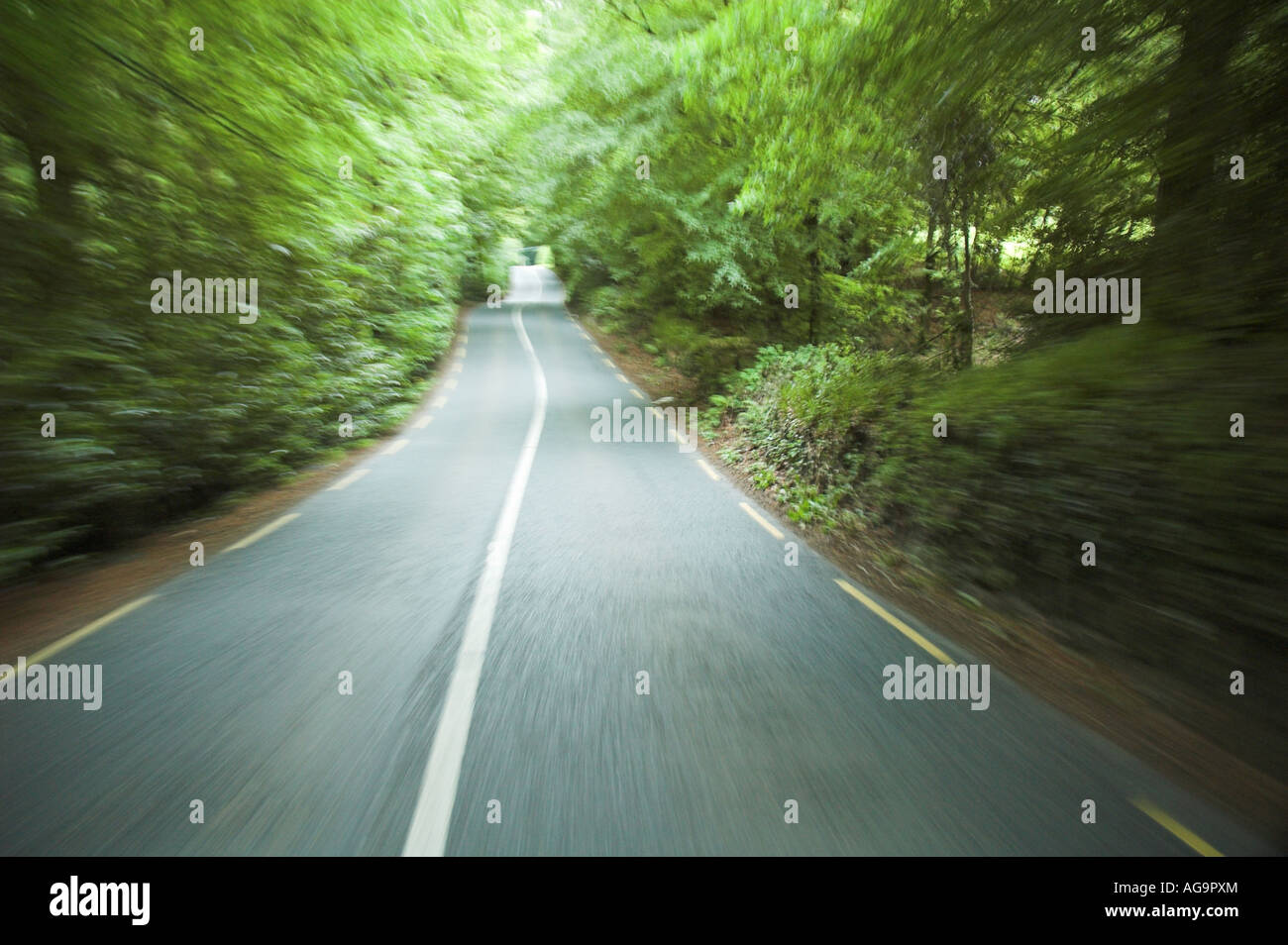 Driving through the narrow roads somewhere between Laragh and Rathdrum ...