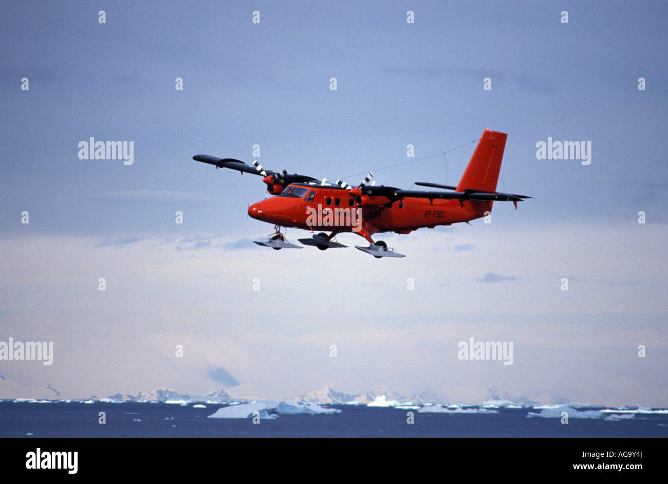 Rothera antarctica hi-res stock photography and images - Alamy