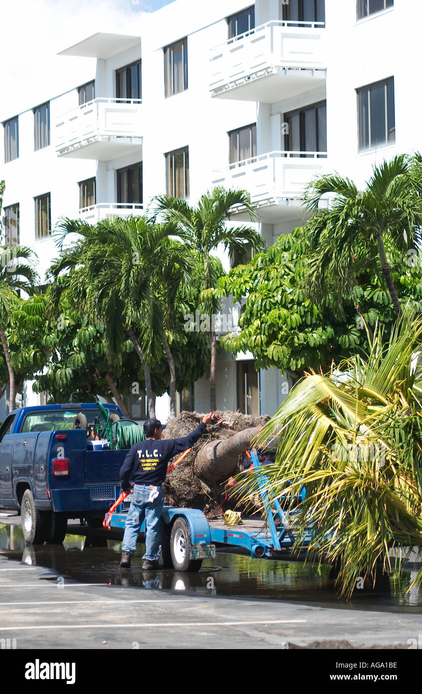 Municipal worker and park and planting hi-res stock photography and ...