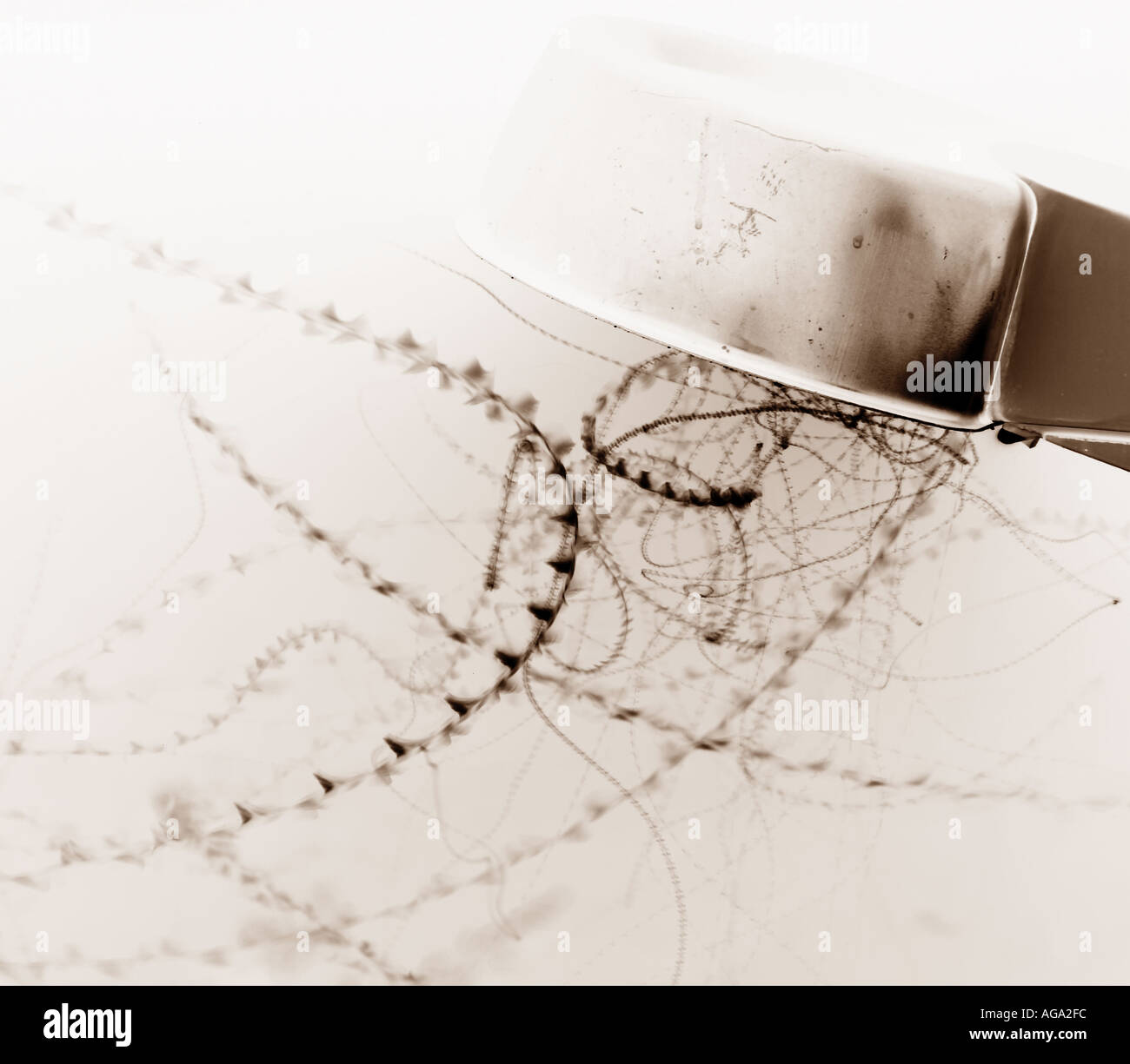 Street lamp and insects hi-res stock photography and images - Alamy