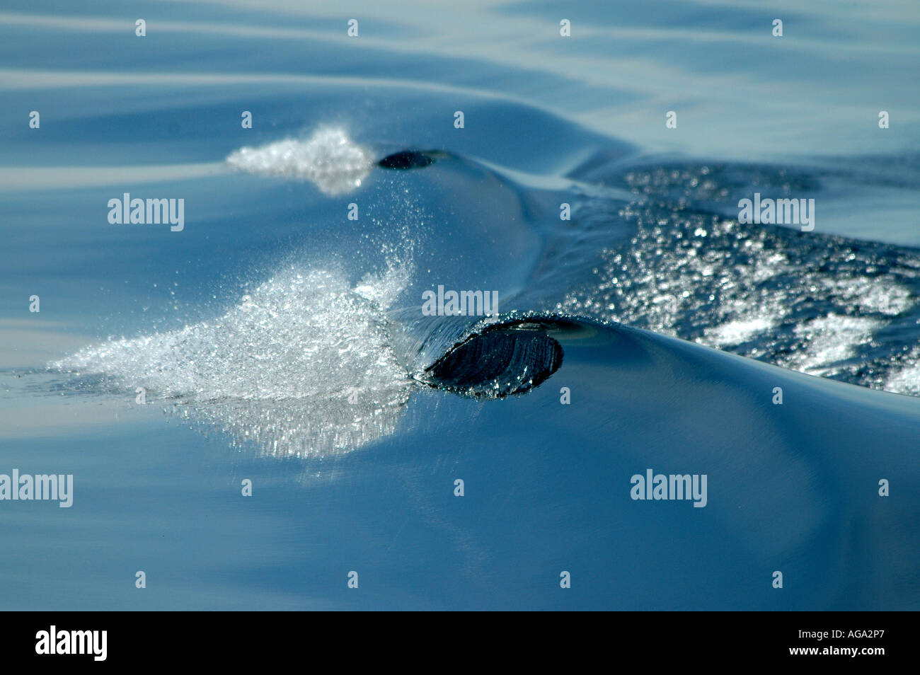 Boating boat cresting wake breaking ripple Stock Photo - Alamy