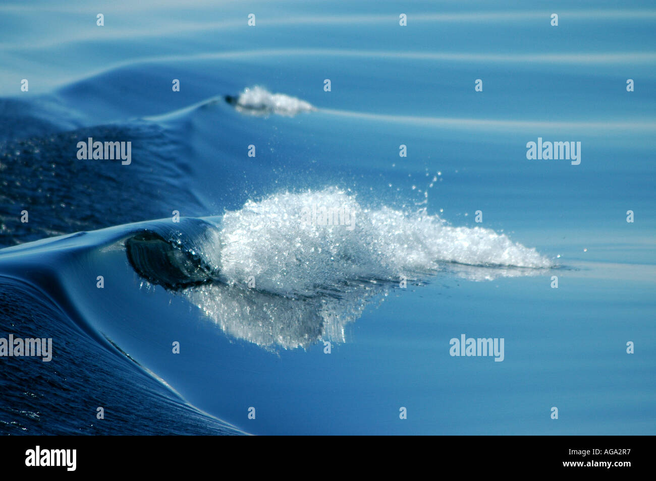 Boating boat cresting wake breaking ripple Stock Photo - Alamy