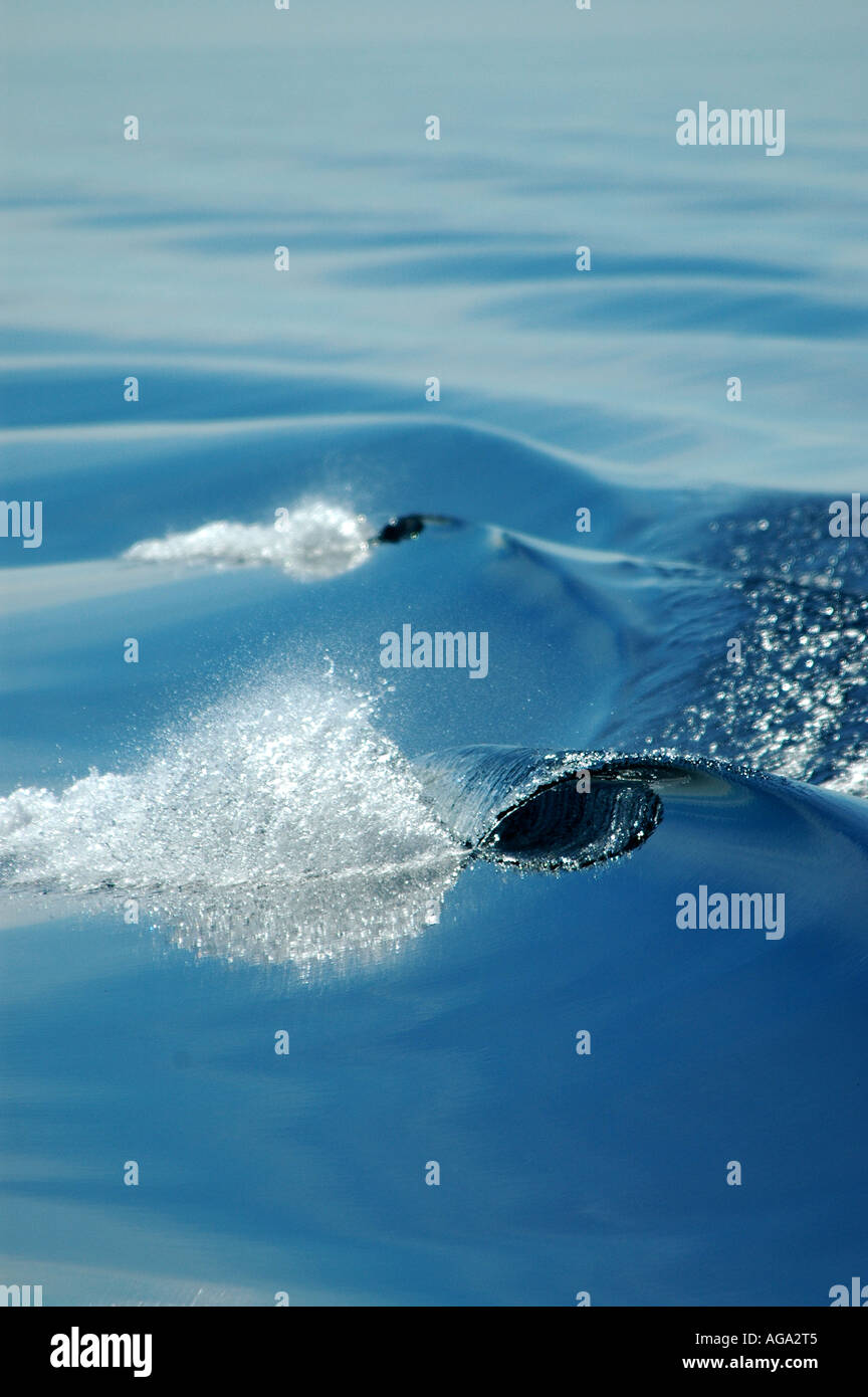 Cresting wave pattern hi-res stock photography and images - Alamy