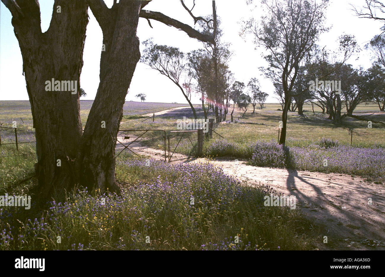 Pattersons curse hi-res stock photography and images - Alamy