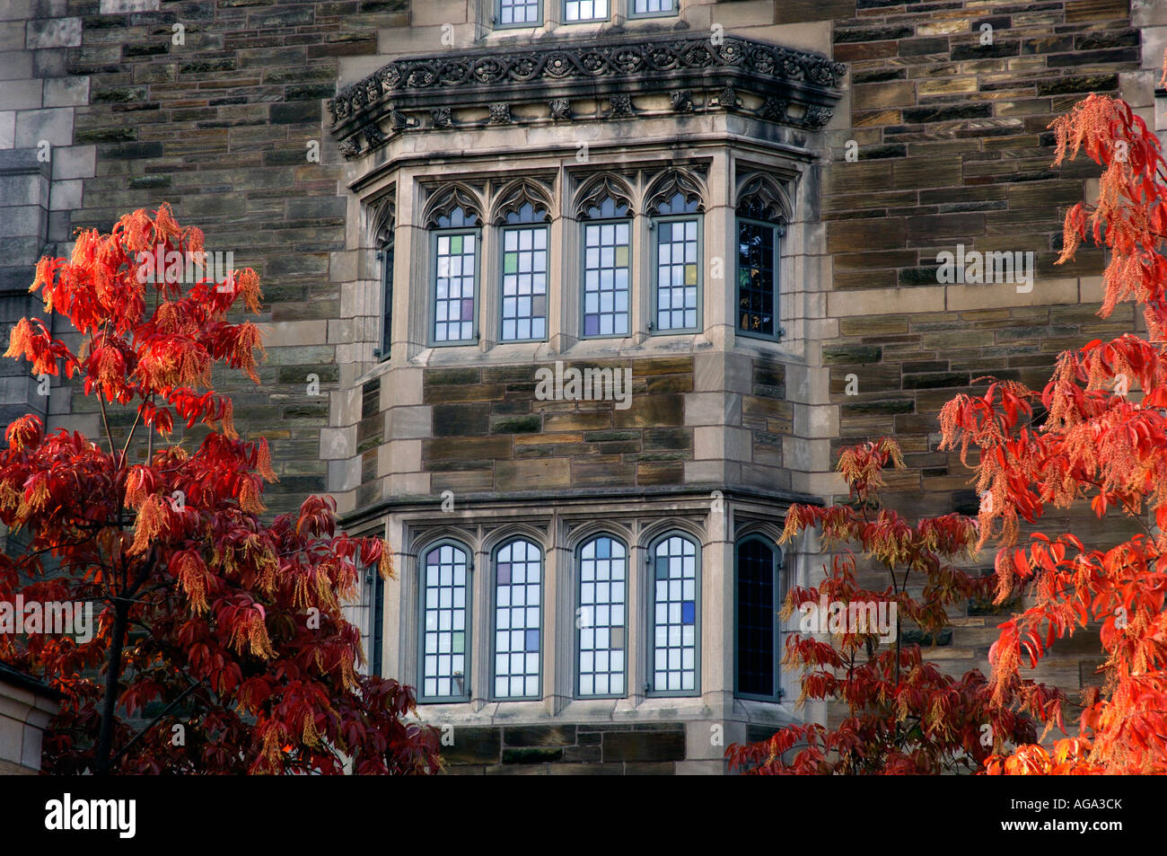 Yale window gothic architecture hi-res stock photography and images - Alamy