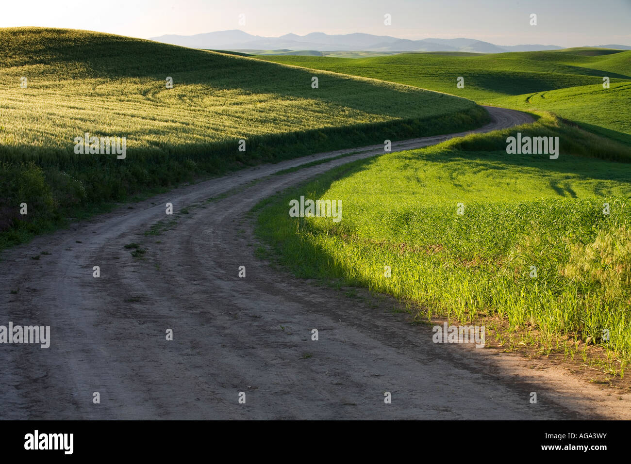 Southern Washington State, USA, farmland in spring Stock Photo - Alamy