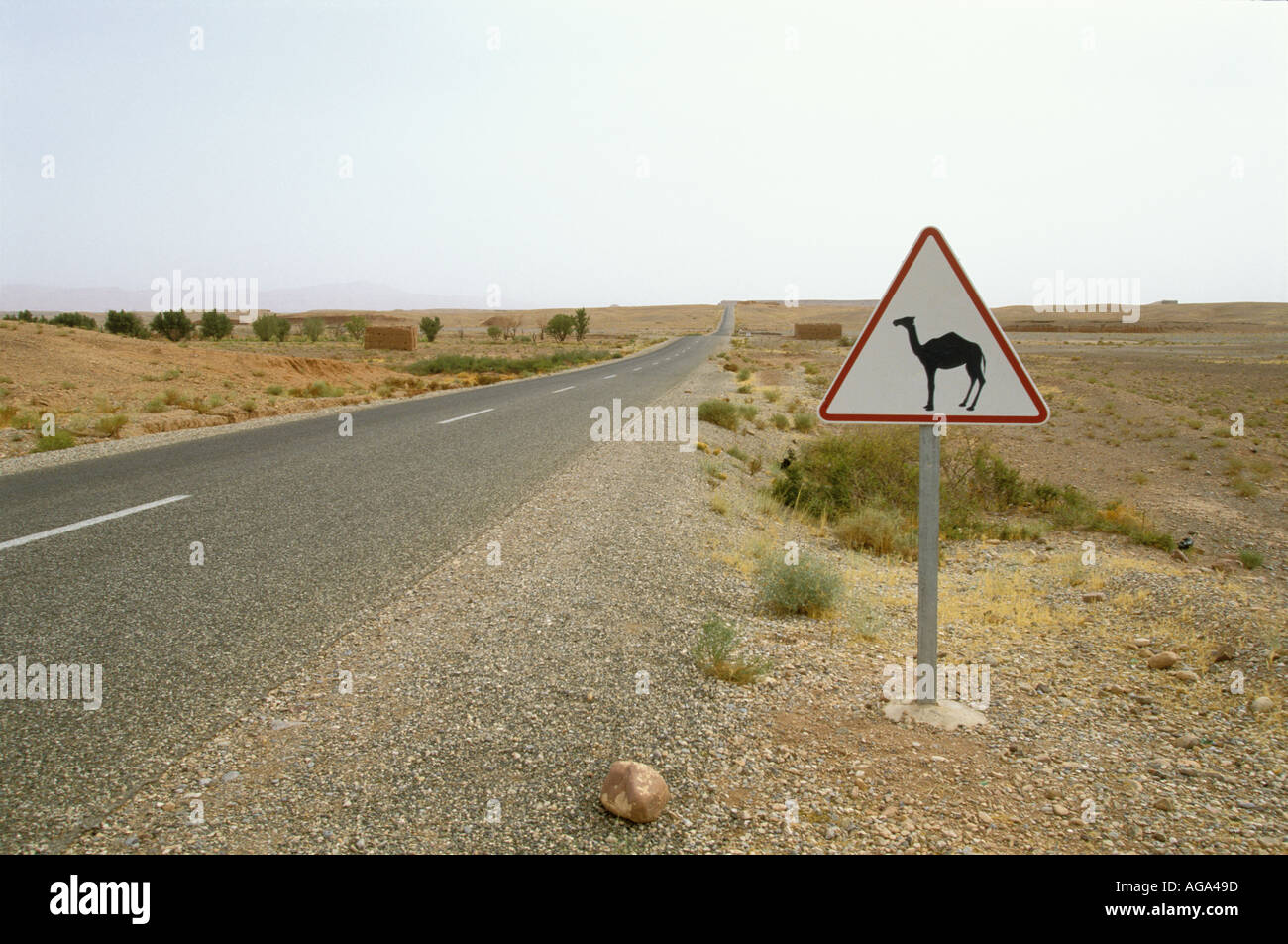 Camel warning sign along the road between Ouarzazate and Boumalne du ...