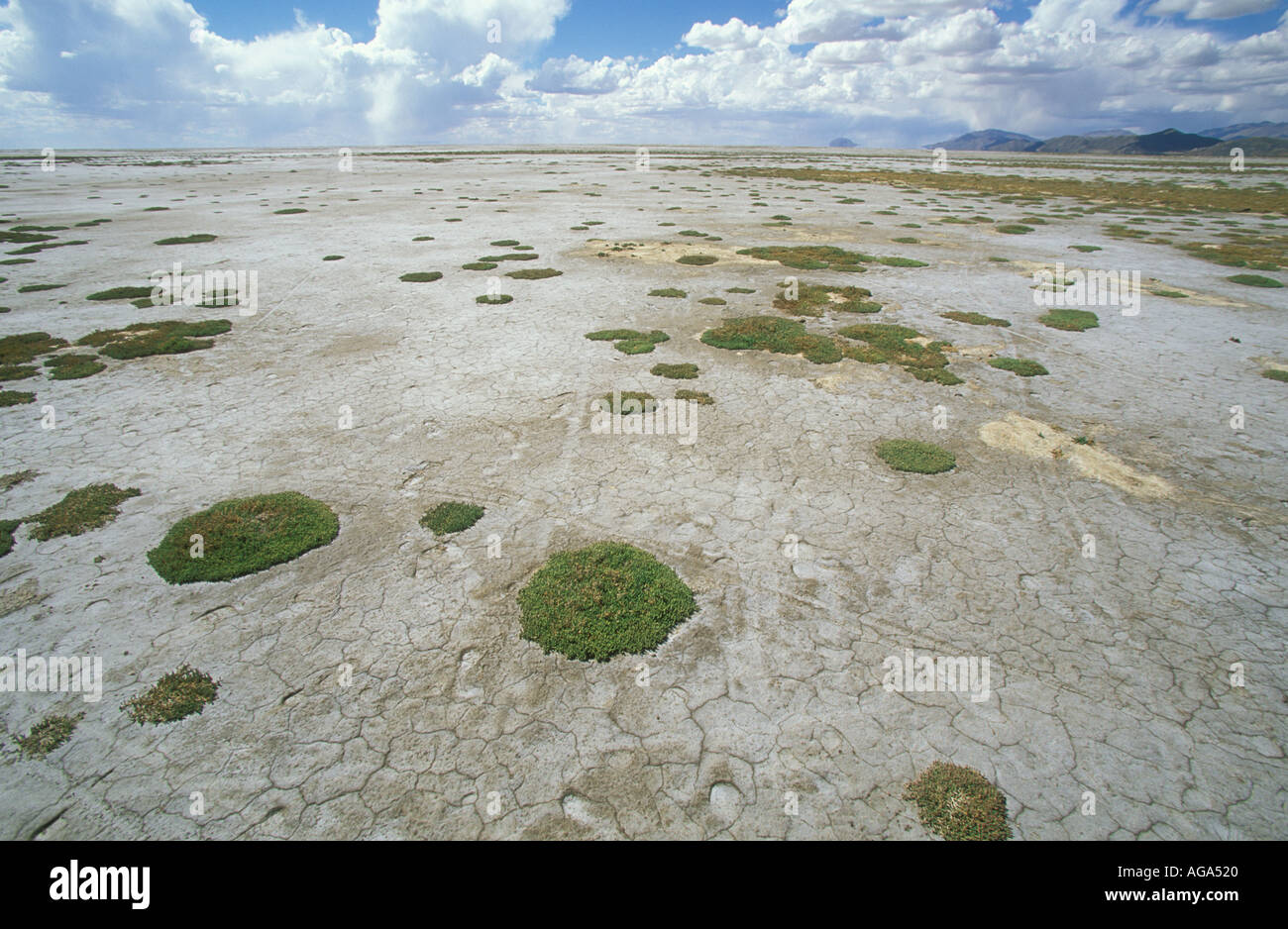 Lago poopo hi-res stock photography and images - Alamy