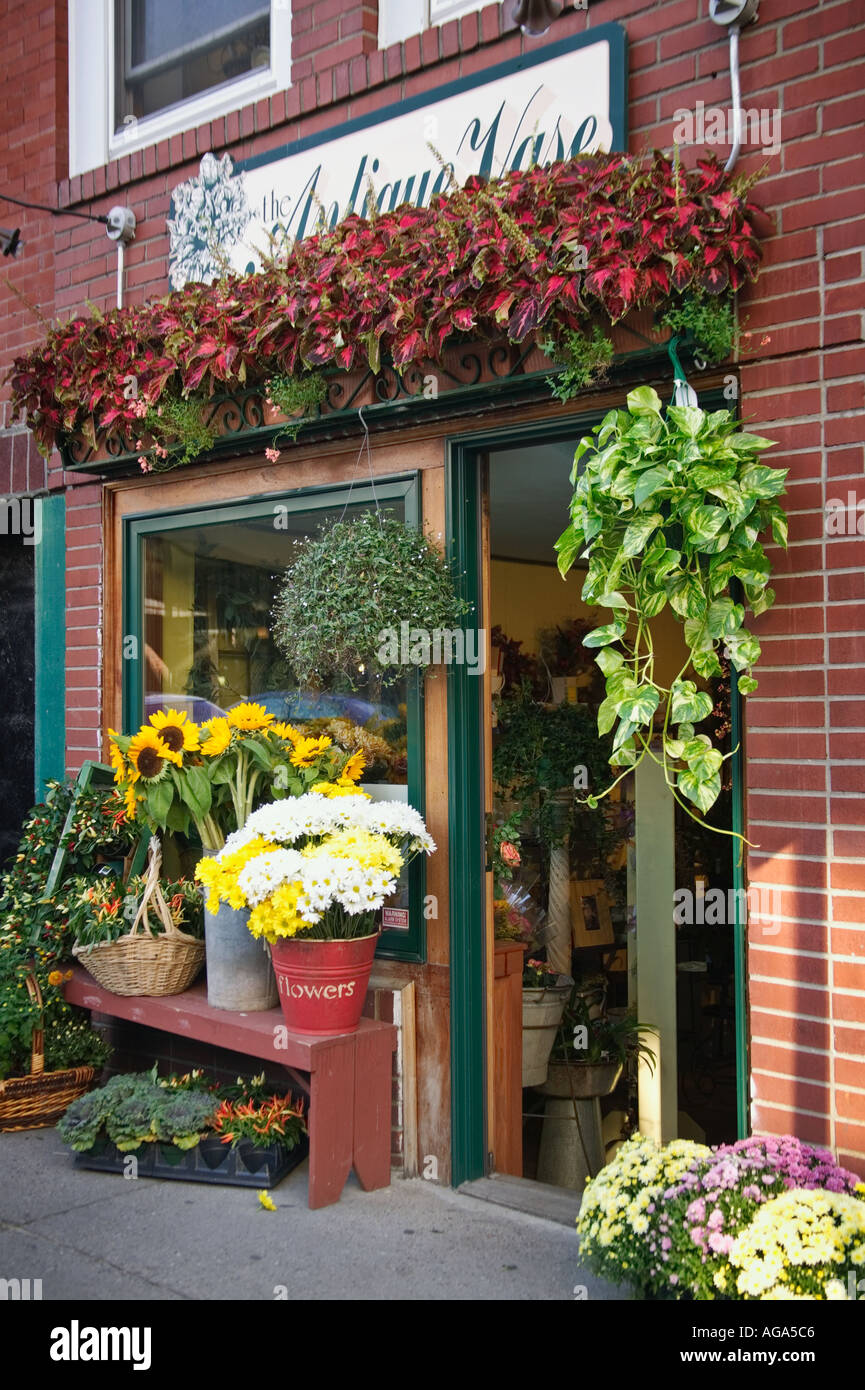 The Antique Vase flower shop in the Italian district in North End of ...