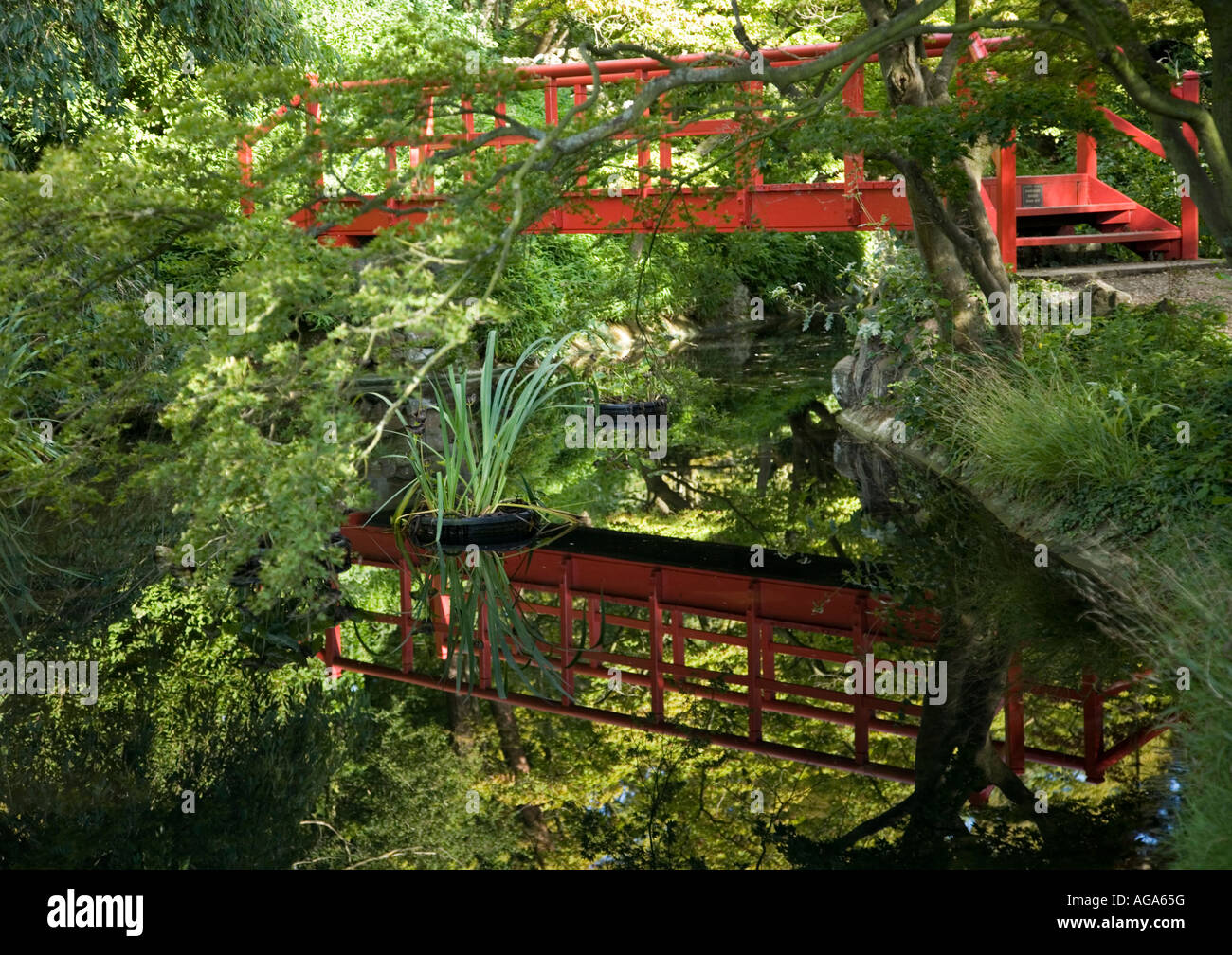 Wooden bridge with its reflection in pond water in a forest at ...