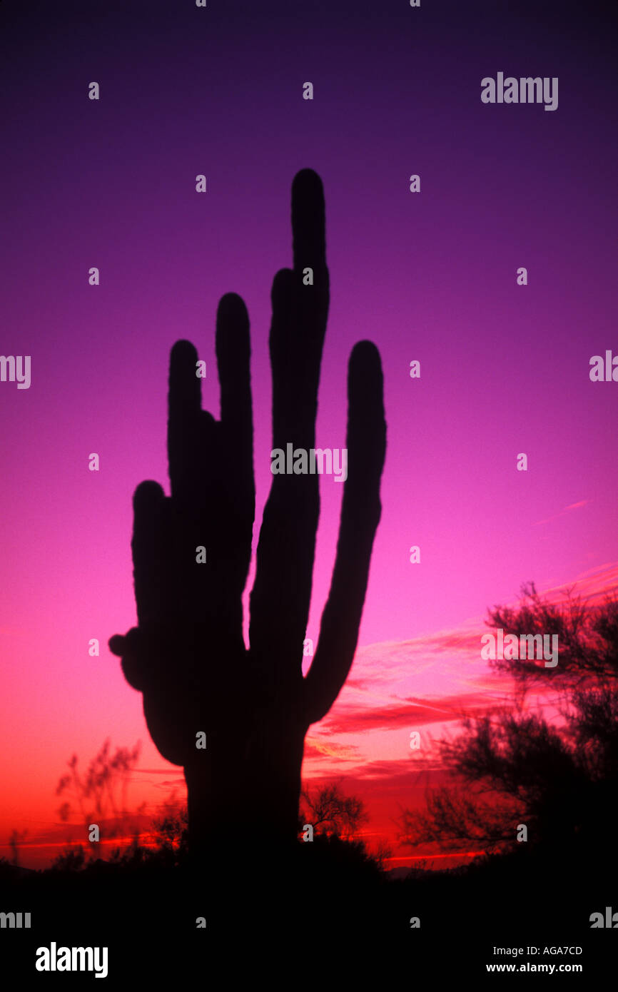 Arizona graphic hi-res stock photography and images - Alamy