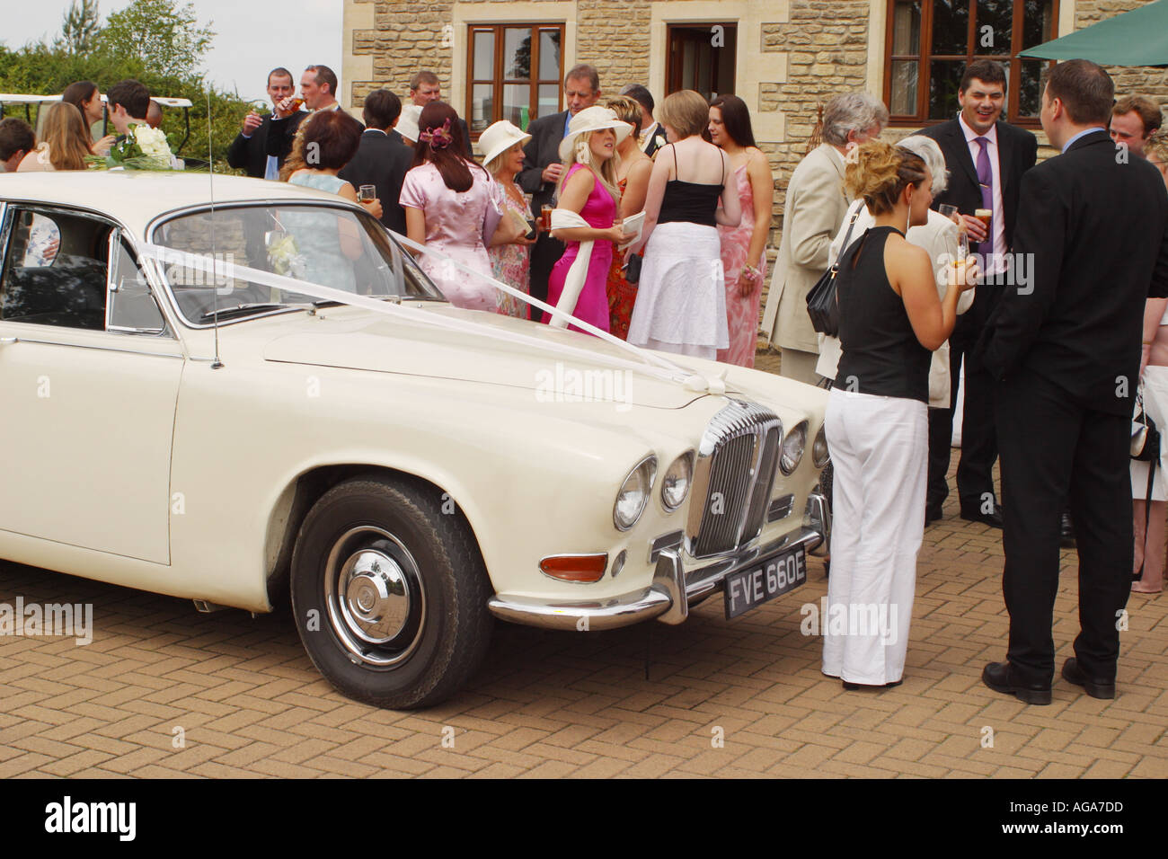 Wedding day white Jaguar wedding car with guests enjoying a drink at ...