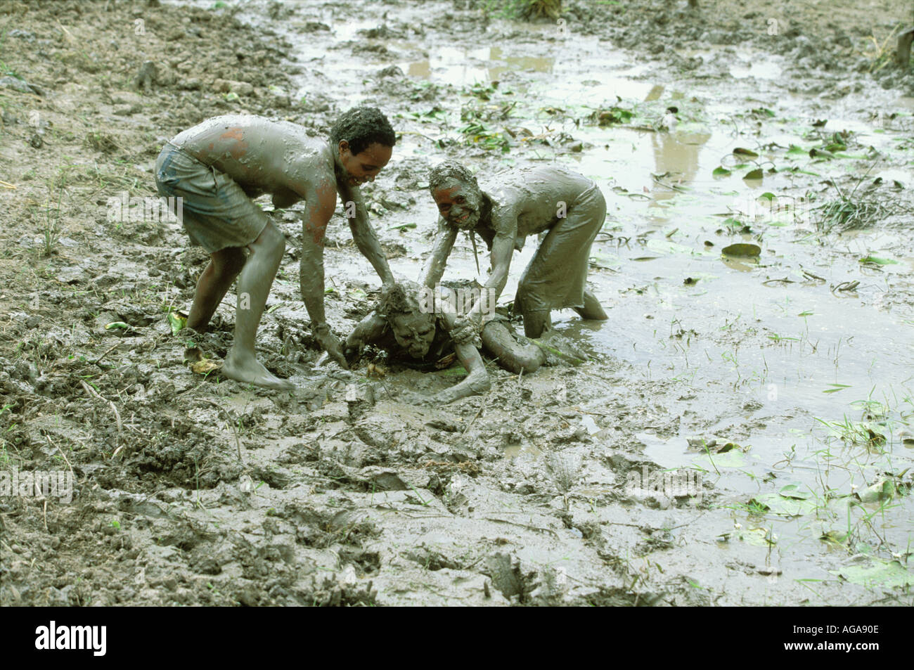 Dani women and girls engage in a ritual mud battle during a first ...