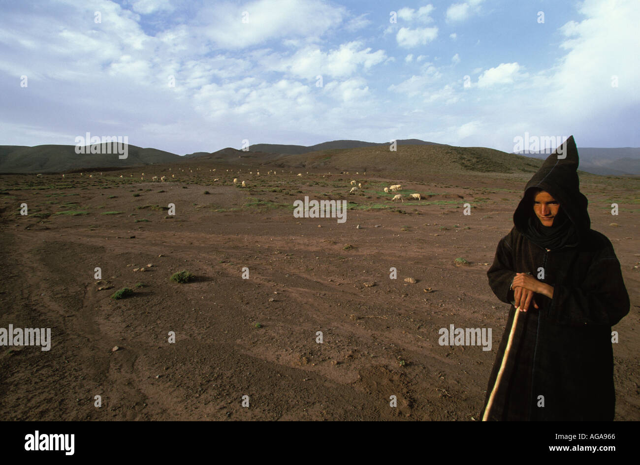 A Berber sheep herder in the mountains near Imilchil the High Atlas ...