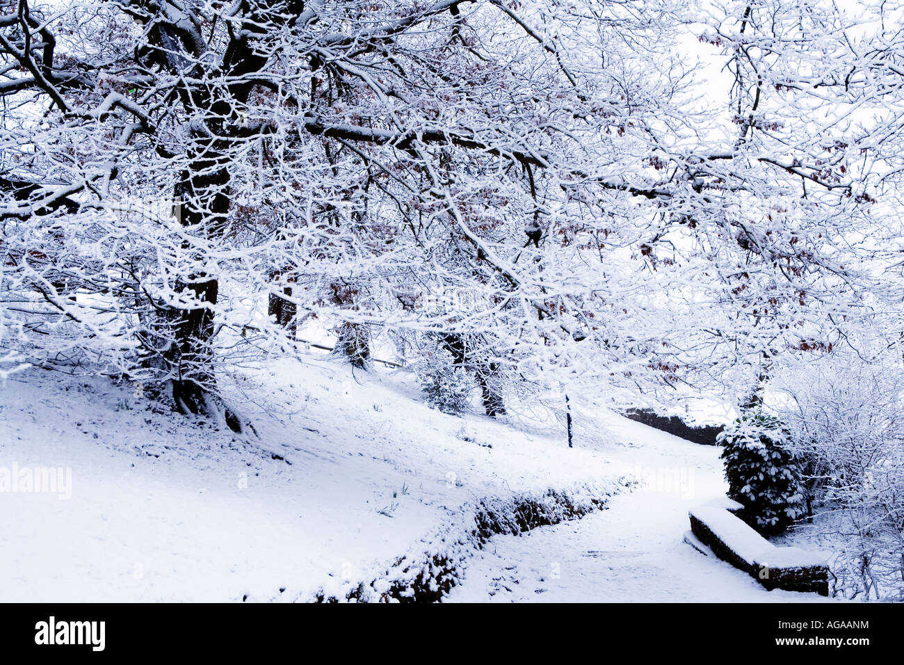 Snow at Coate Water Country Park Stock Photo - Alamy