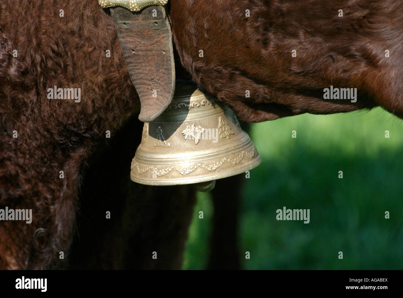 Neck bell hi-res stock photography and images - Alamy