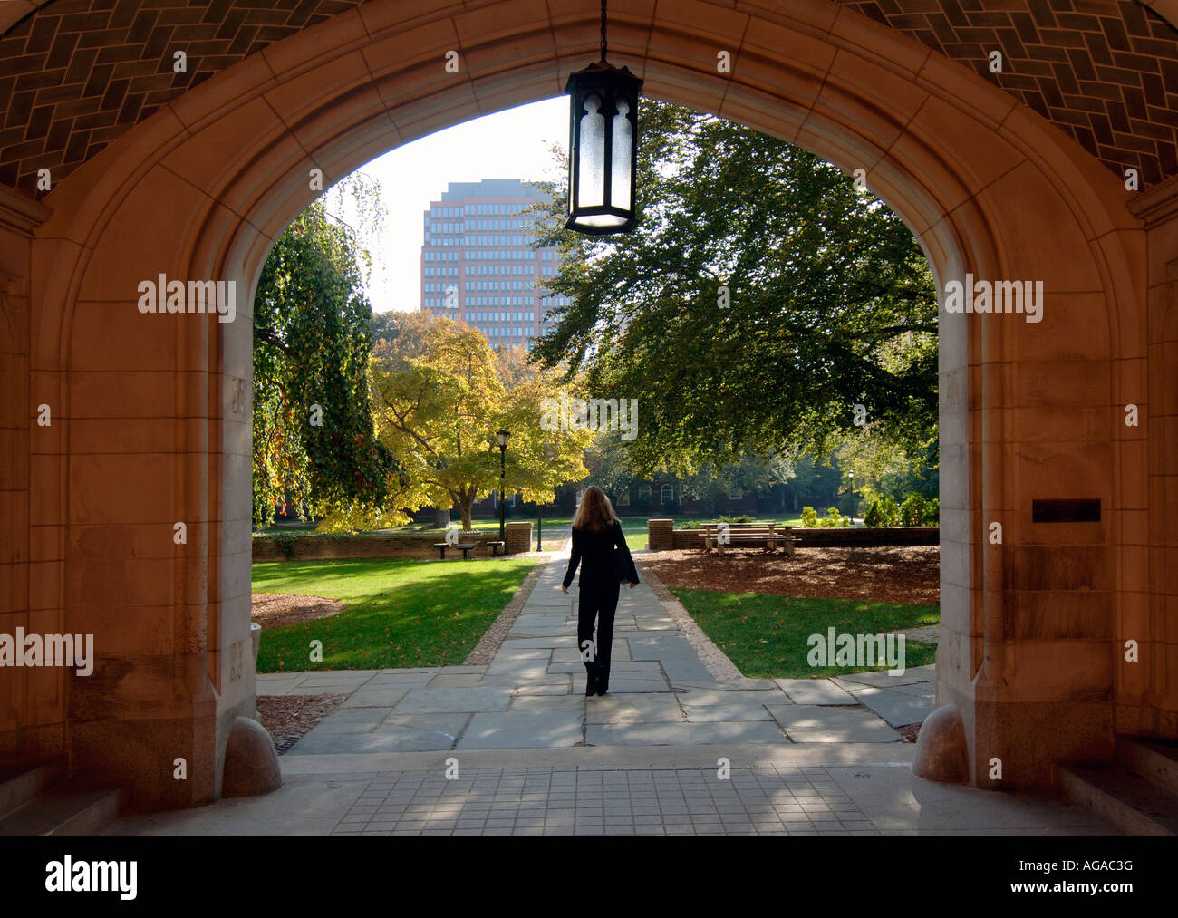 High Resolution Yale Silliman College