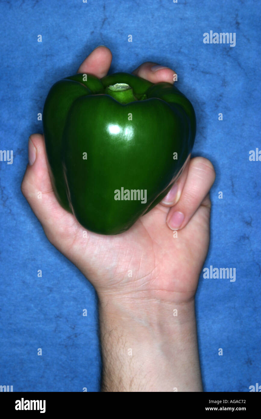 Man s hand holding a green pepper Stock Photo - Alamy
