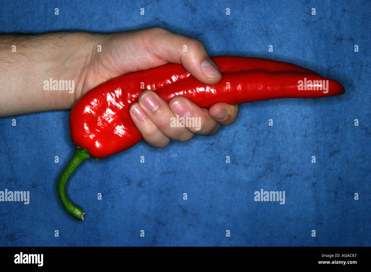 Man s hand holding a red chilli pepper Stock Photo - Alamy