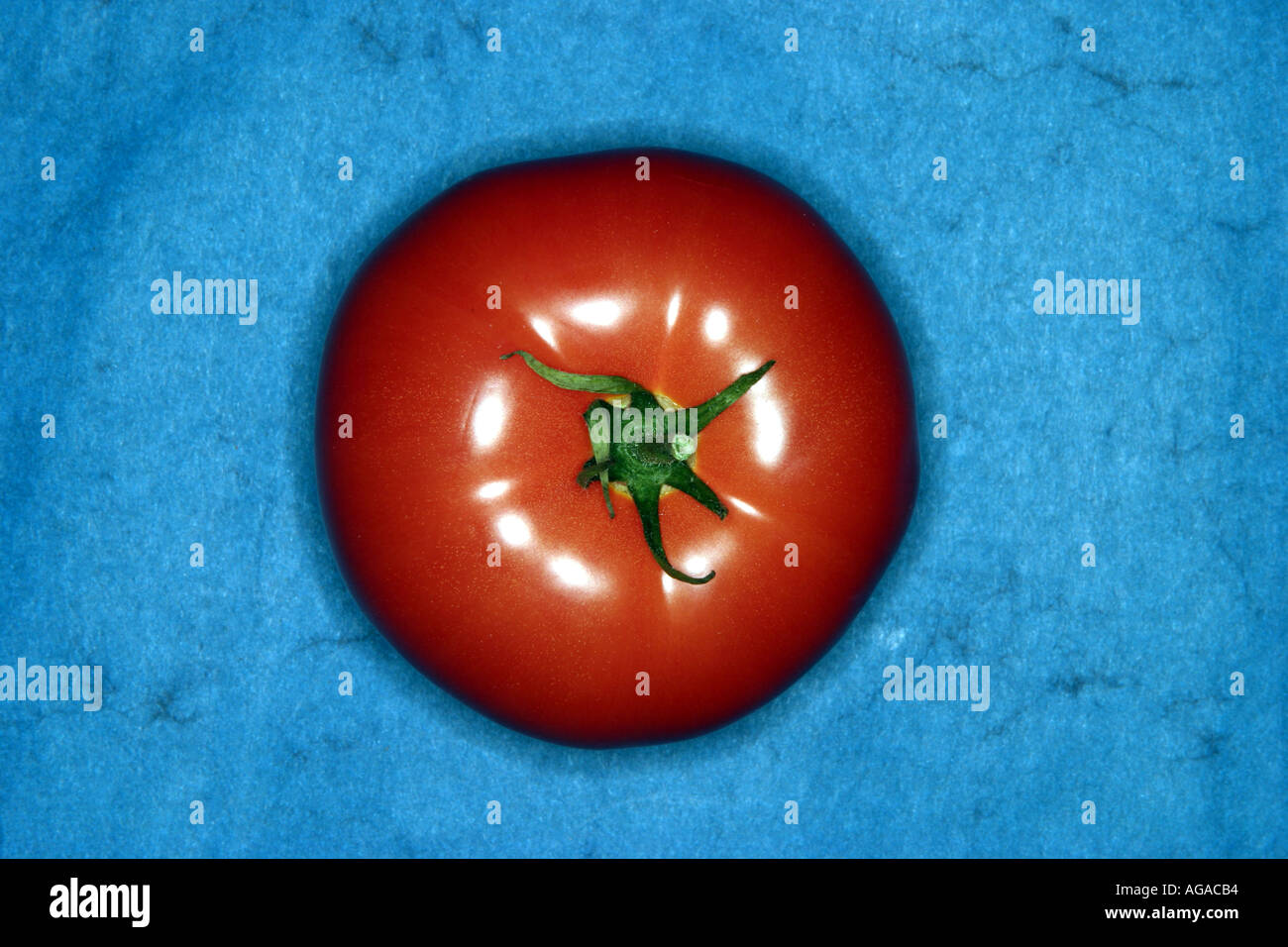 One tomato single Stock Photo - Alamy