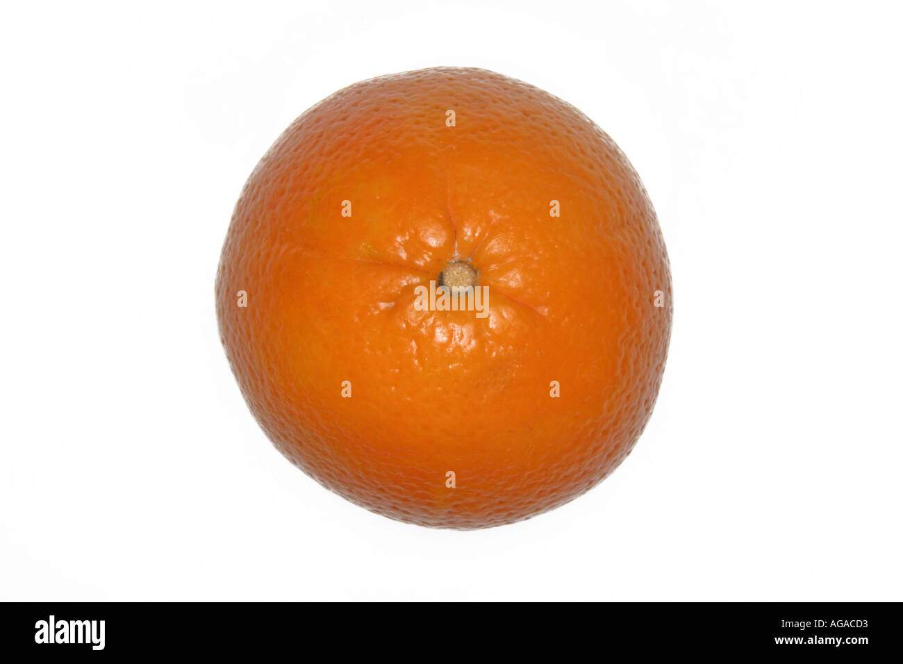 An orange on a white background Stock Photo - Alamy