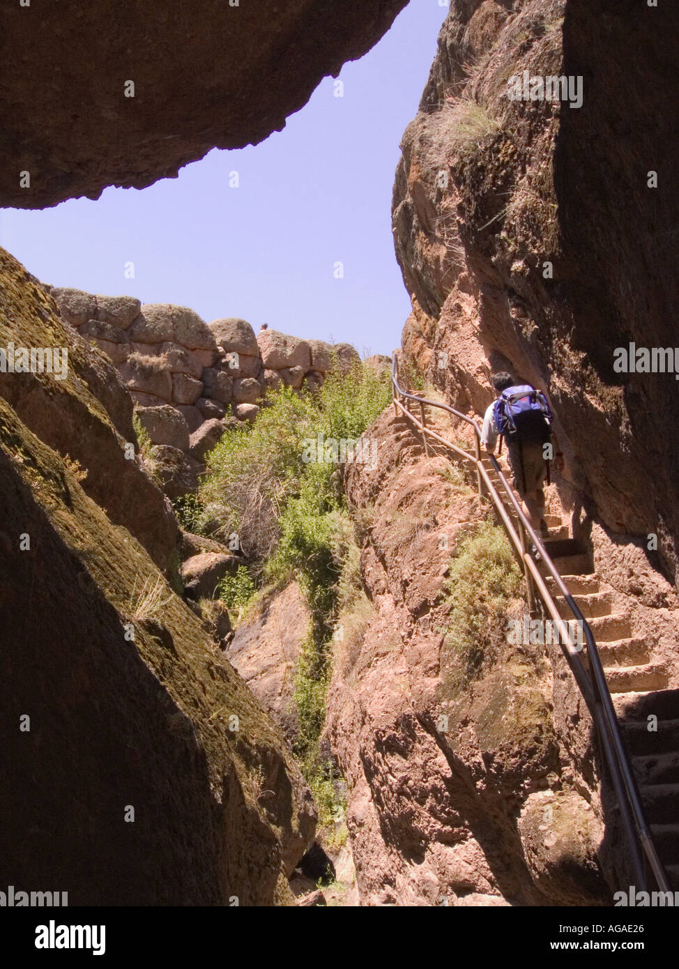 California Pinnacles National Monument hiker climbing stairs on Moses ...