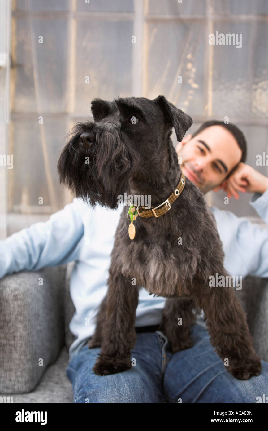 Lap dog man hi-res stock photography and images - Alamy