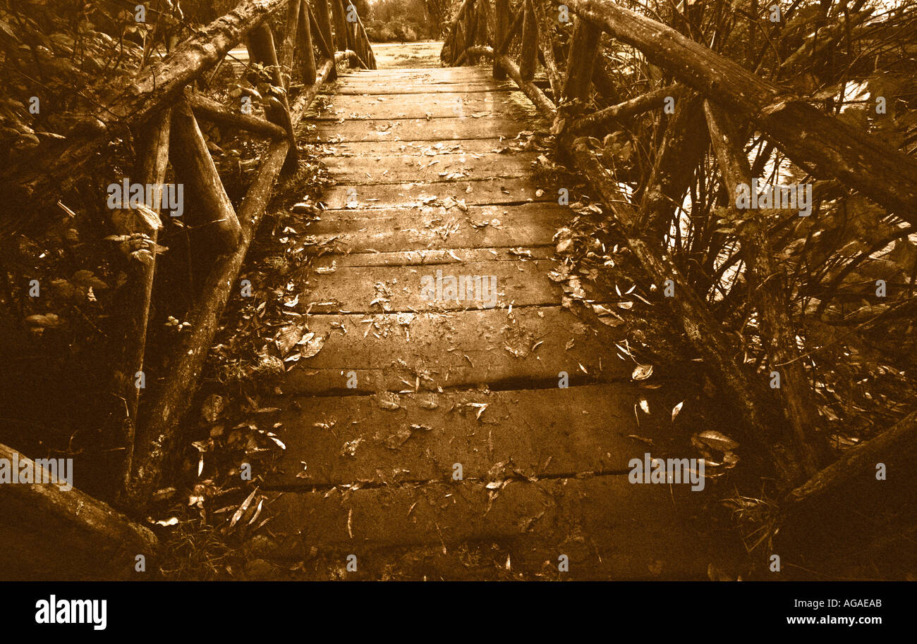 bridge Lost Lagoon Stanley Park Vancouver Canada Stock Photo - Alamy