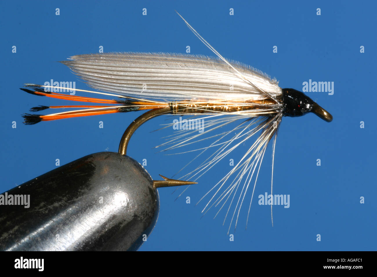 fishing fly Blae and Gold Buzzer Stock Photo - Alamy