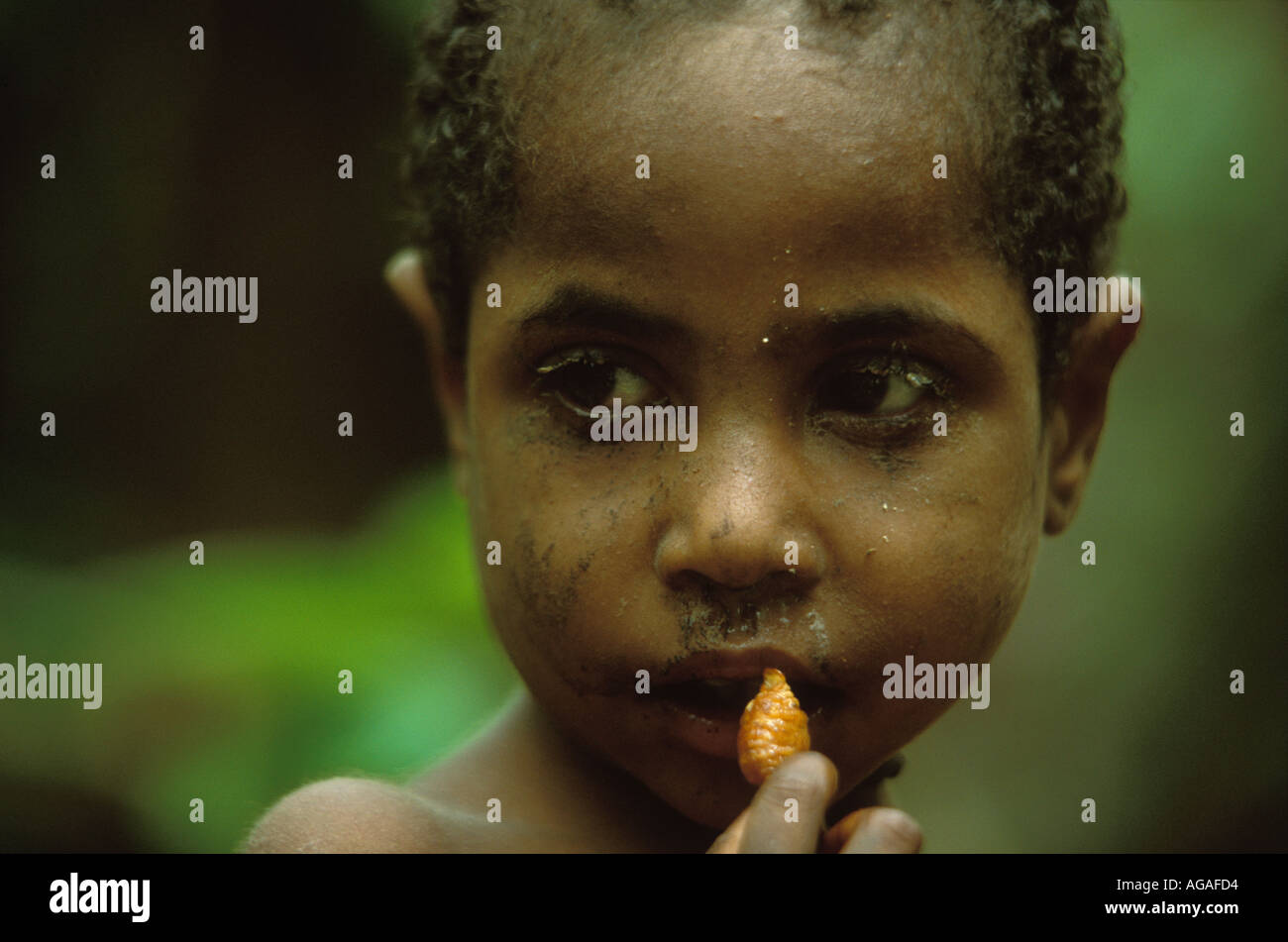 Small girl eating raw sago grub The Kombai tribe Treehouse People ...