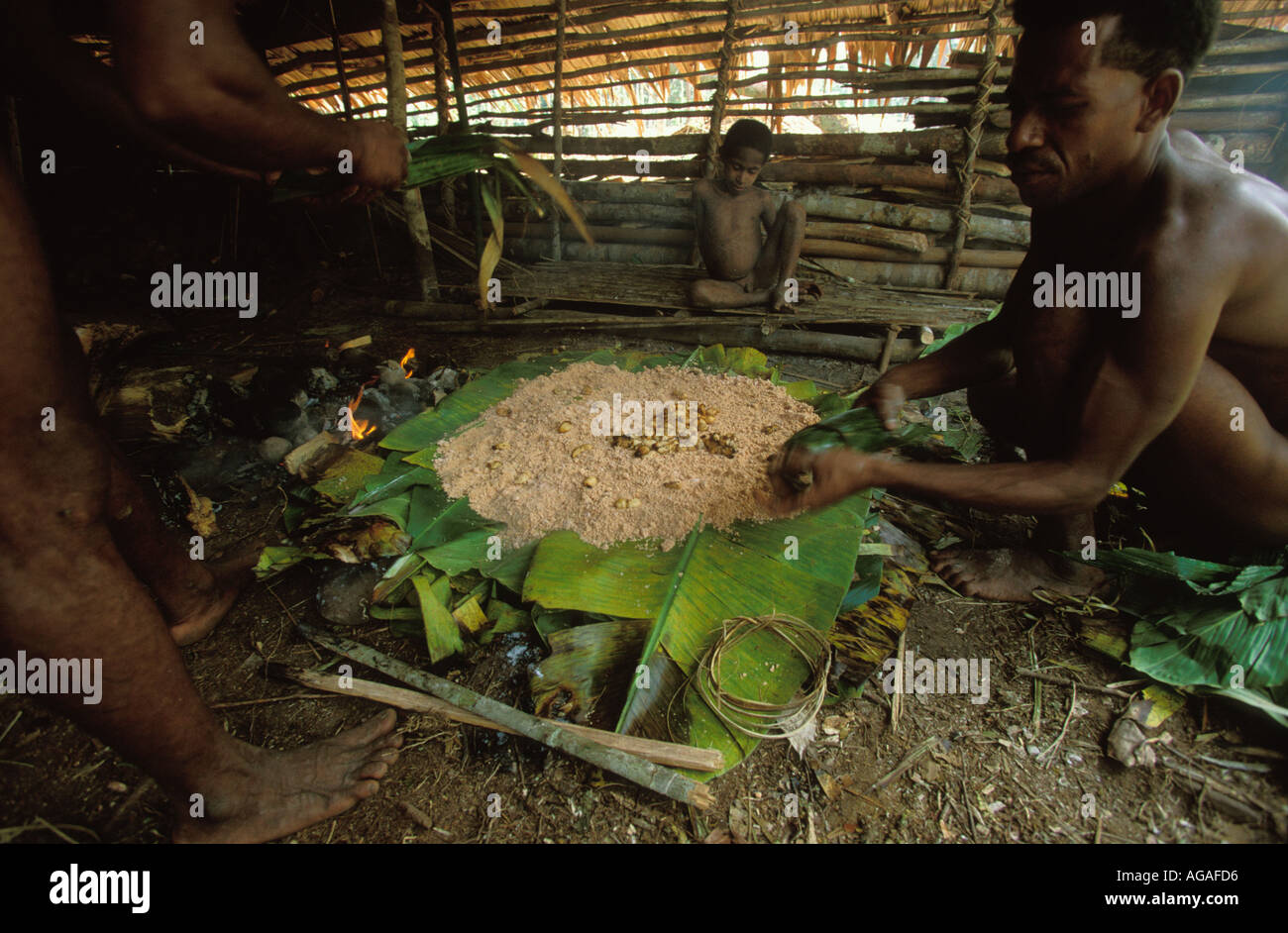 Kombai hi-res stock photography and images - Alamy