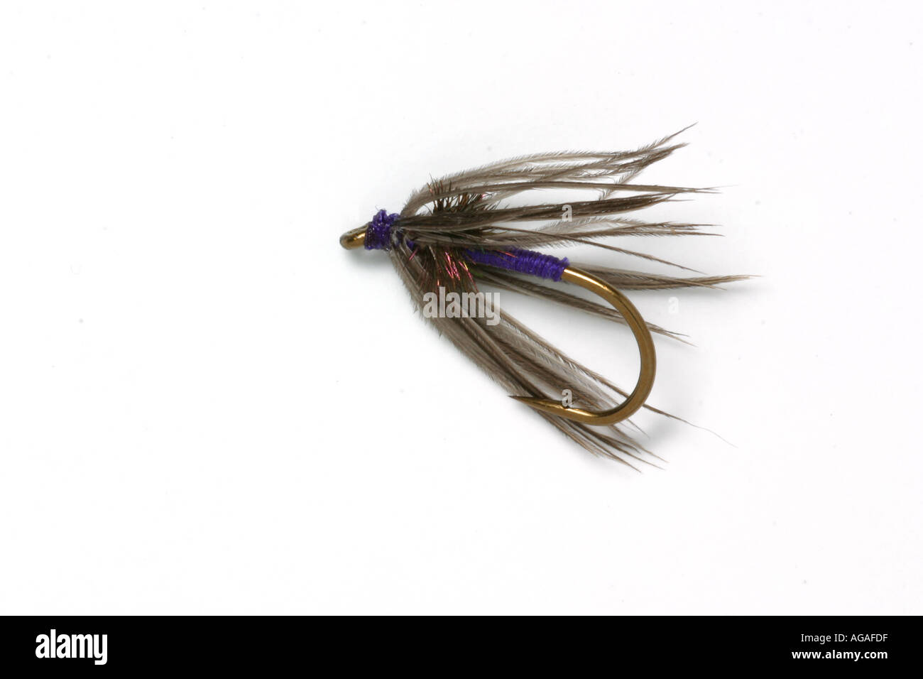 fishing fly Henthorne Purple Trout fly Stock Photo - Alamy
