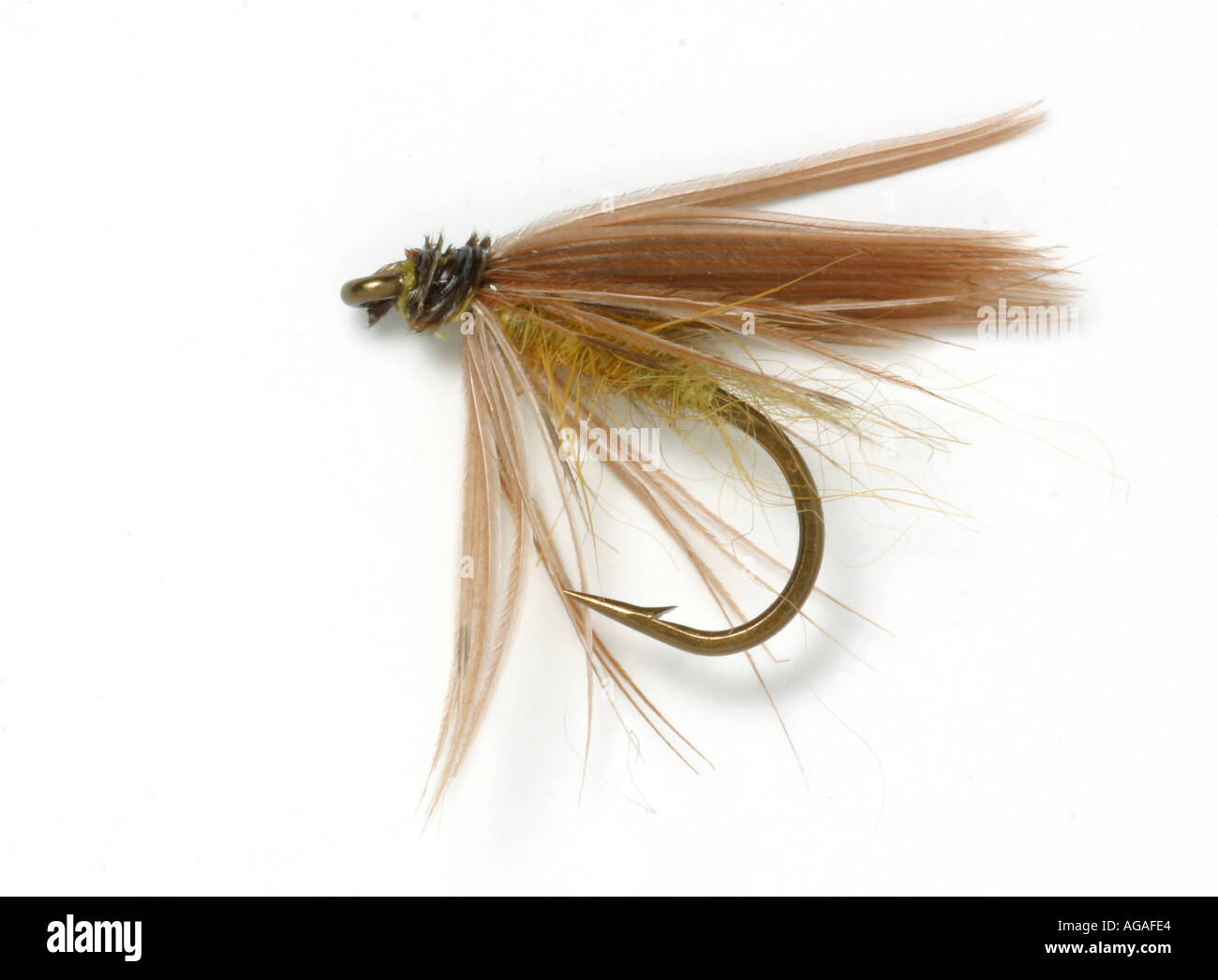 fishing fly Light Sedge Trout fly Stock Photo - Alamy