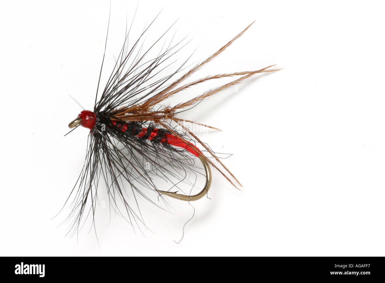 fishing fly Black Hopper trout fly Stock Photo - Alamy