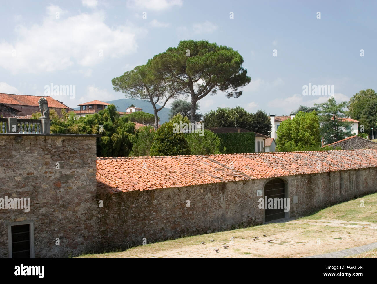 A building on the Lucca wall in Lucca, Italy Stock Photo - Alamy