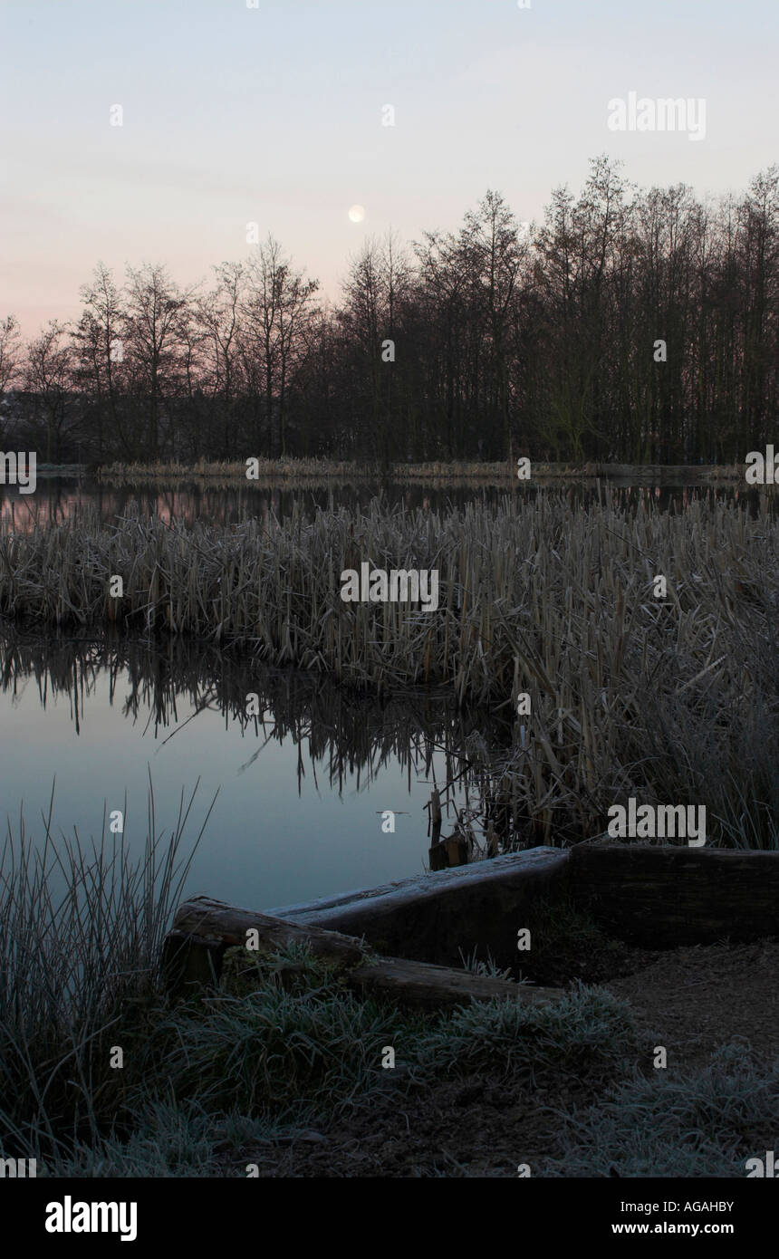 Dawn with pink sky Stock Photo - Alamy