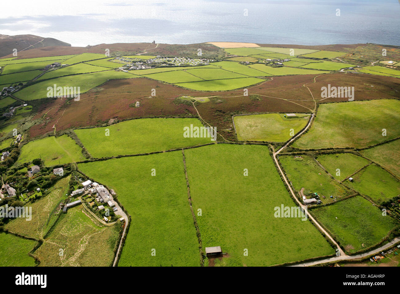 Purple heather covering St Agnes Beacon, Cornwall, UK Stock Photo - Alamy